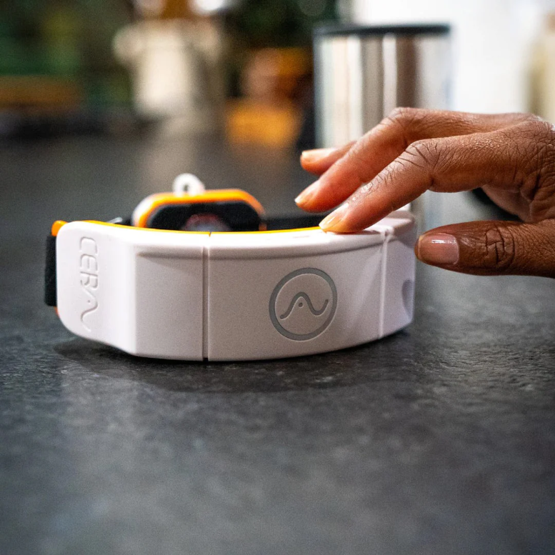 The Cera System | Red Light Therapy device for Brain and Gut Health ...