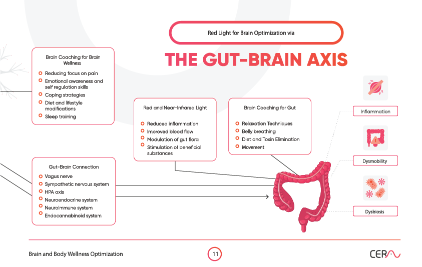 CERA System Manual | Product Specifications – CeraThrive