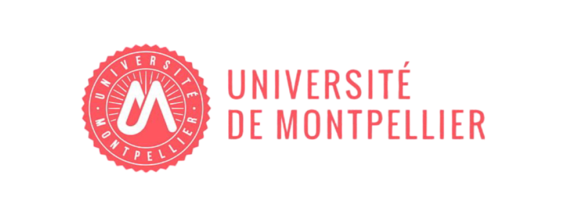 The Cera System | Photobiomodulation for the Gut-Brain Axis – CeraThrive